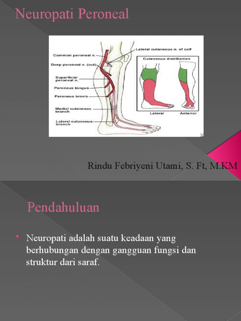 Neuropati Peroneal: Gejala & Terapi | PDF | Sains & Matematika