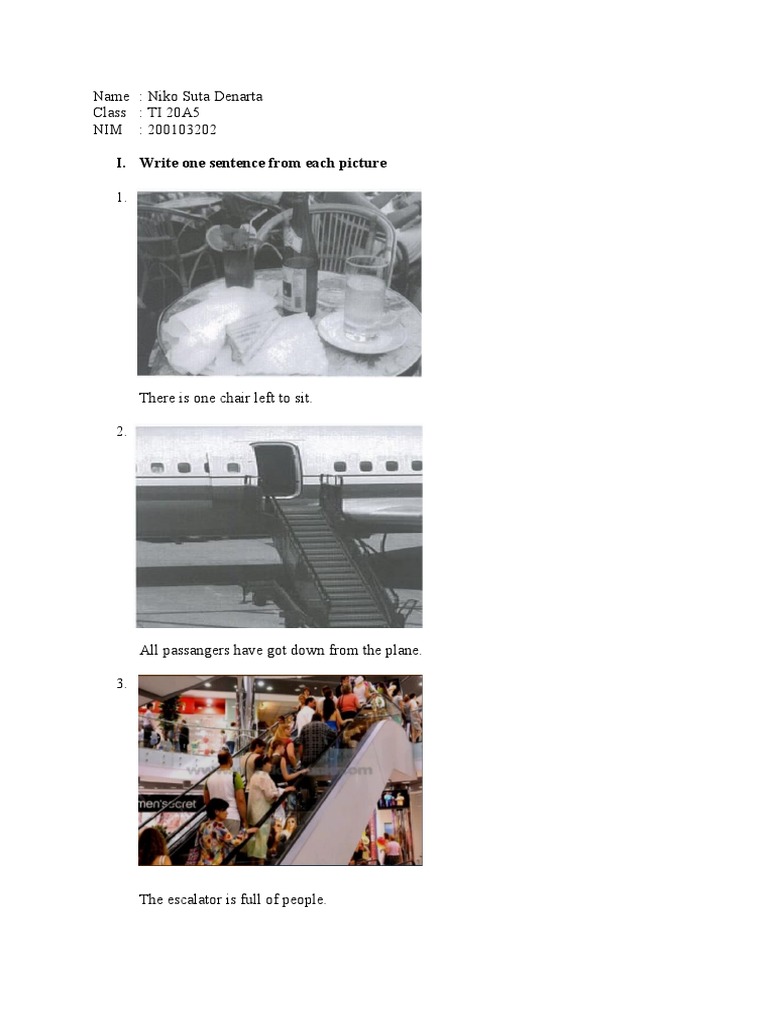 Visual Descriptions and Q&A Exercises | PDF
