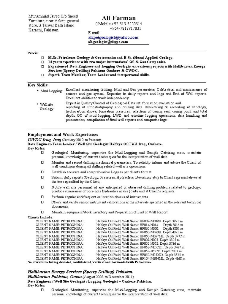 Ali Farman - CV | PDF | Oil Well | Petroleum