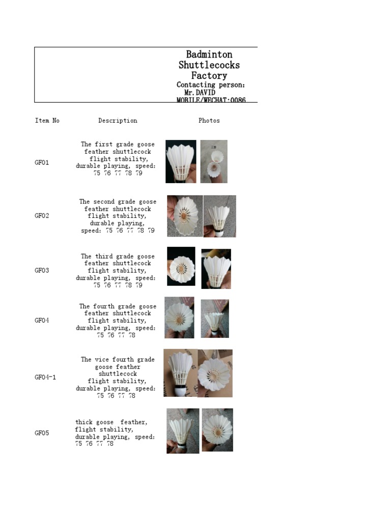 Hefei Dele Badminton Shuttlecocks Factory: Contacting Person MR - David ...