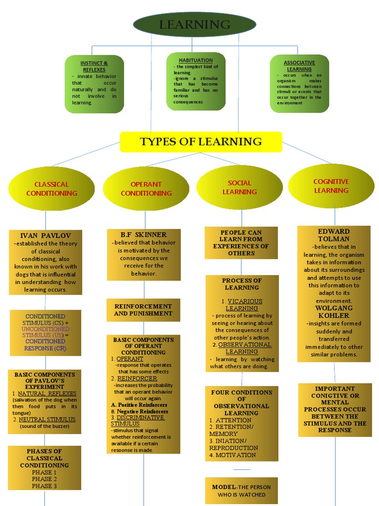 Concept Map Unfinish | PDF | Learning | Classical Conditioning