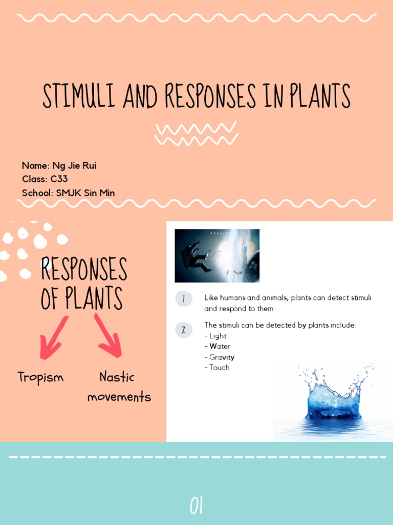 Science - 1.3 Stimuli and Responses in Plants | PDF | Organisms | Botany
