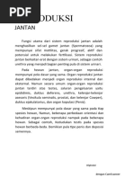 Gambar Alat Reproduksi Sapi Betina | PDF