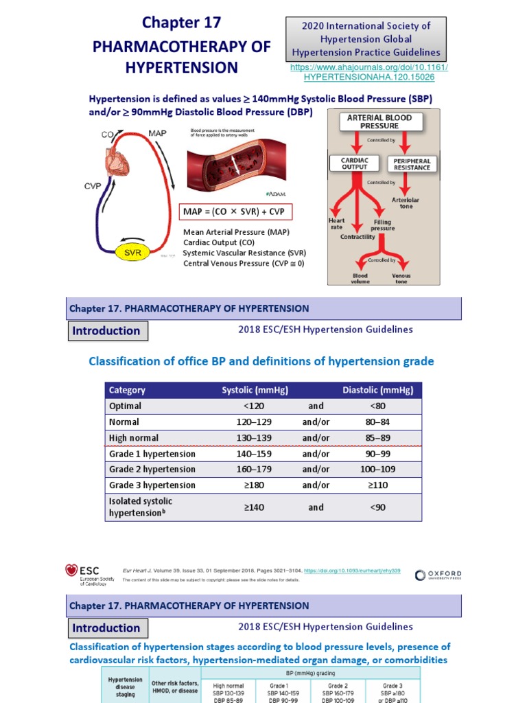 17 Hypertension 2021 | PDF | Blood Pressure | Hypertension