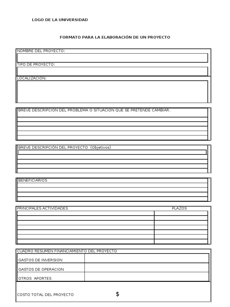 Formato Para La Elaboracion de Proyectos | Evaluación | Cognición