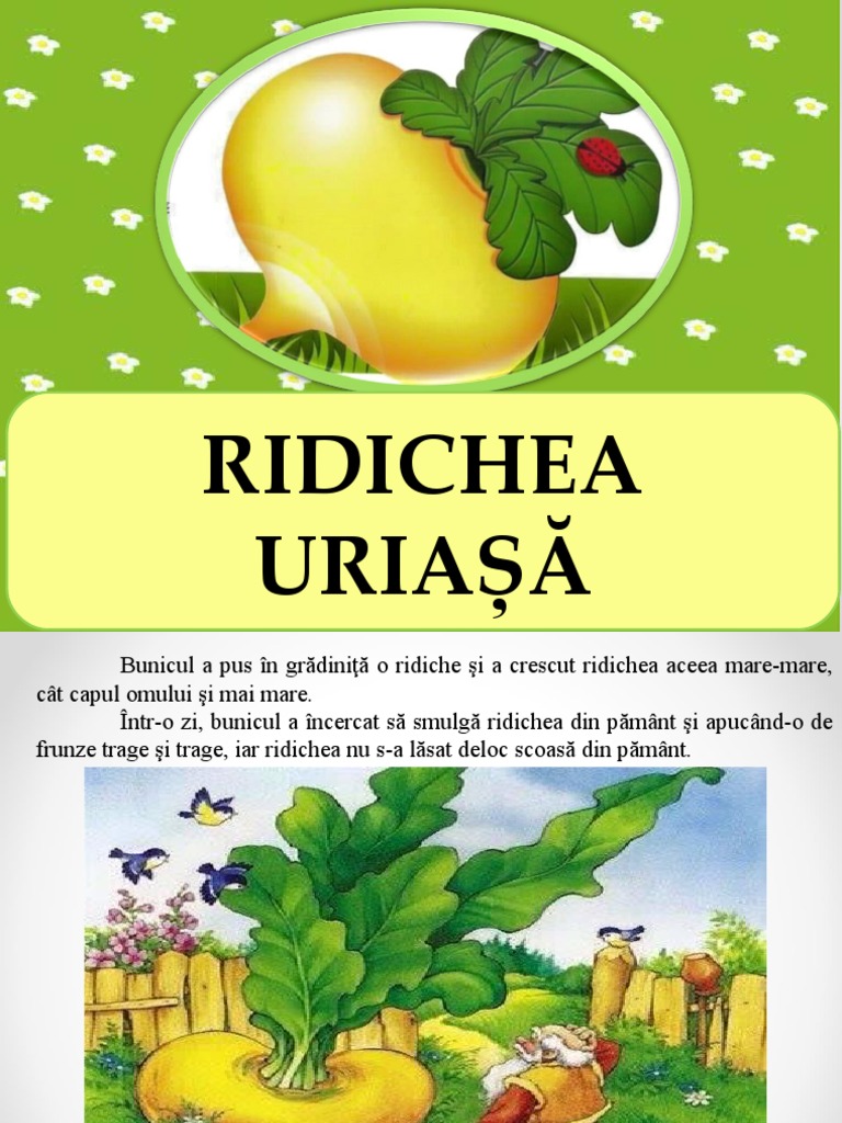 Ridichea Uriasa | PDF