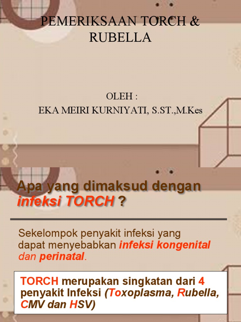 Infeksi TORCH | PDF