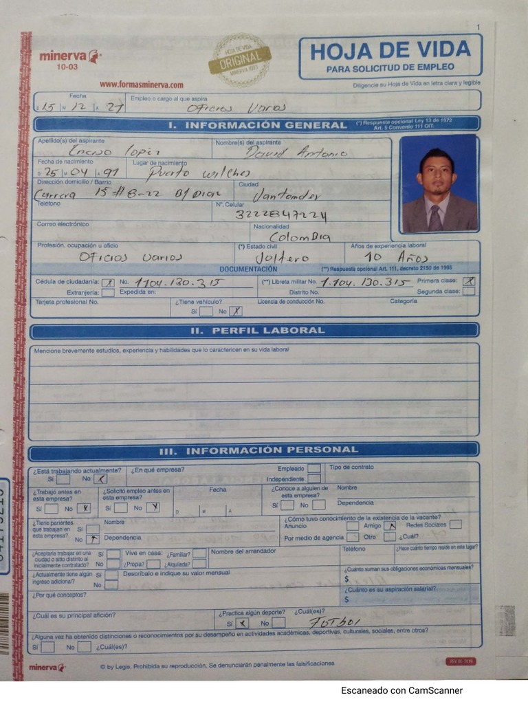 Hoja de Vida David Enciso | PDF