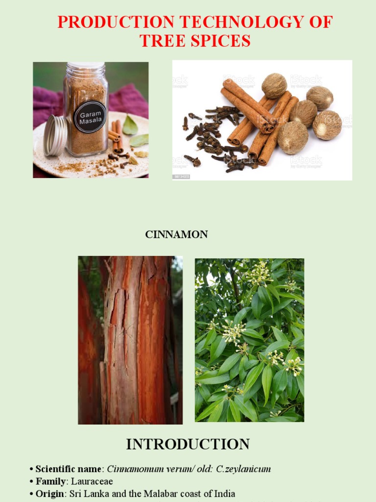 Production Technology of Tree Spices | PDF | Cinnamon | Nutmeg