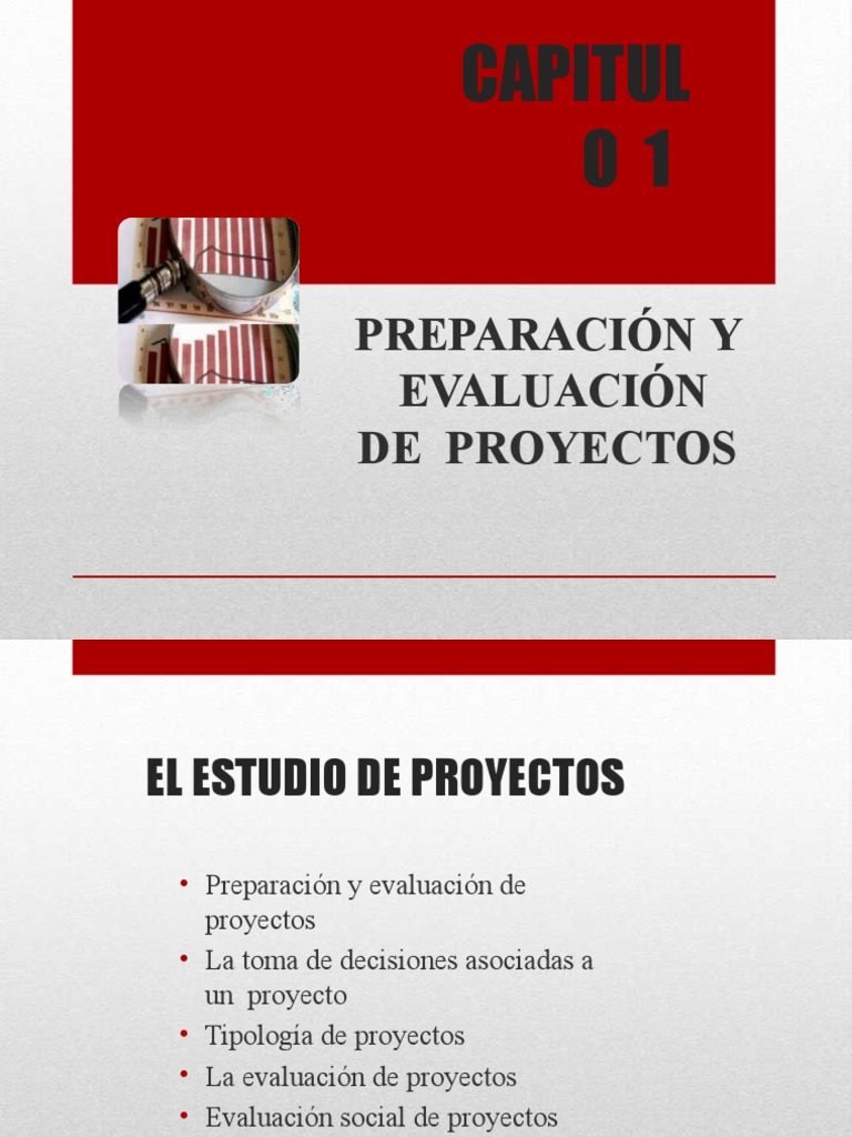 Resumen-Libro Sapag | PDF | Oferta y demanda | Oferta (economía)