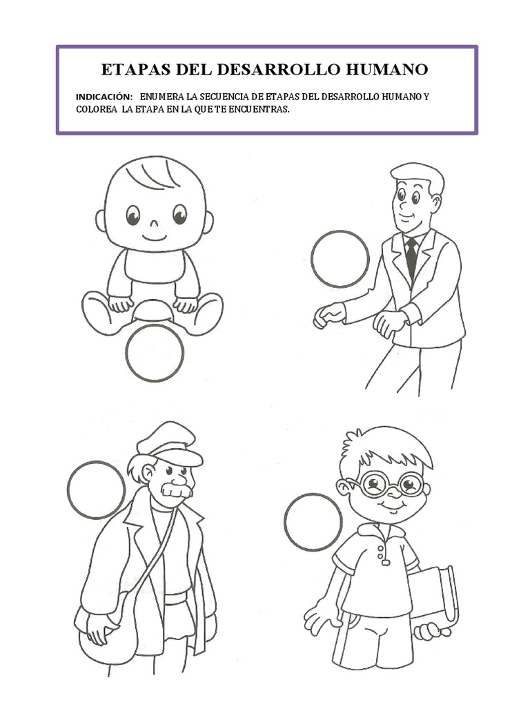 Etapas Del Desarrollo Humano | PDF