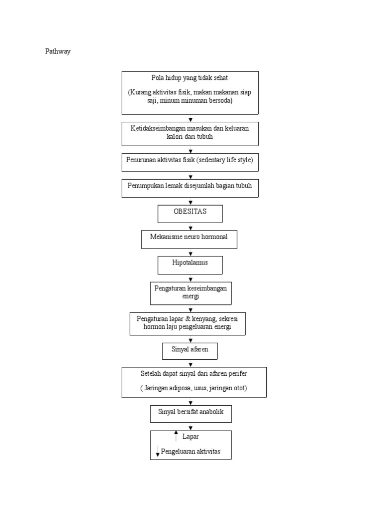 Pathway Obesitas | PDF