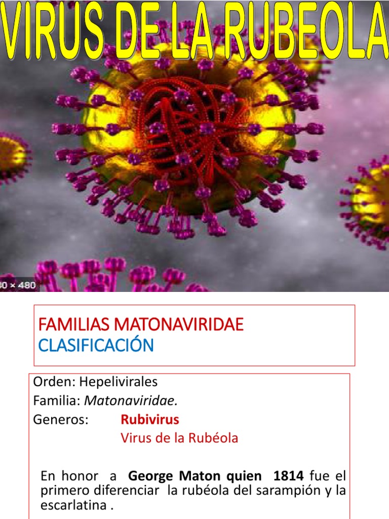 Virus de Rubeola | PDF | Especialidades Medicas | Enfermedades y trastornos