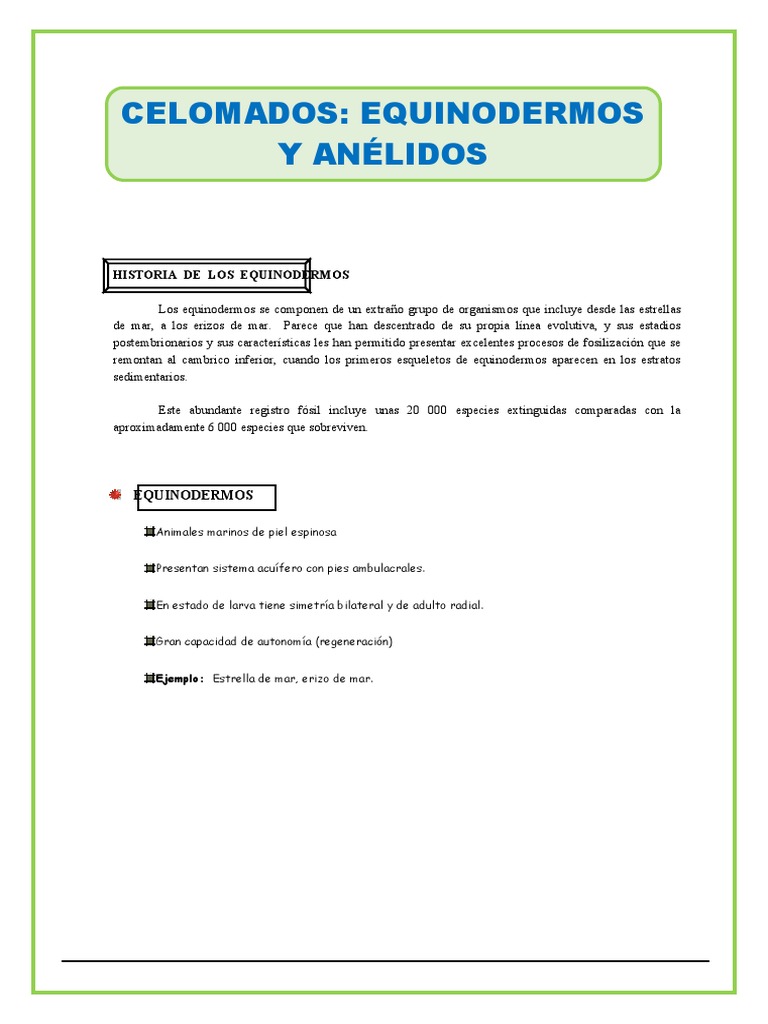 Celomados Equinodermos y Anélidos para Segundo de Secundaria | PDF ...