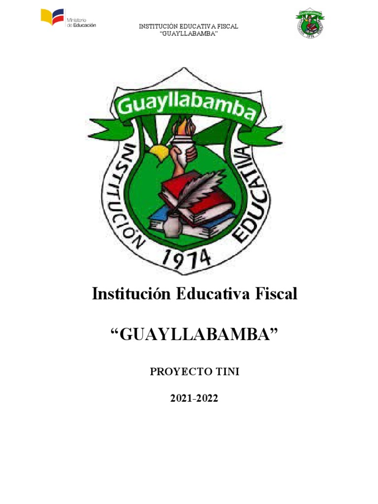 Proyecto Tini | PDF | Institución | Plan de estudios