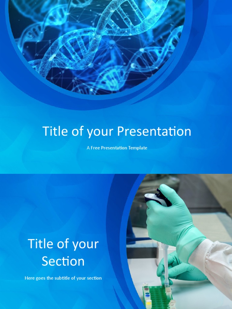 A Template for an Informative Presentation with Sections and Bulleted ...