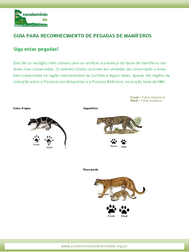 Guia de Pegadas | PDF