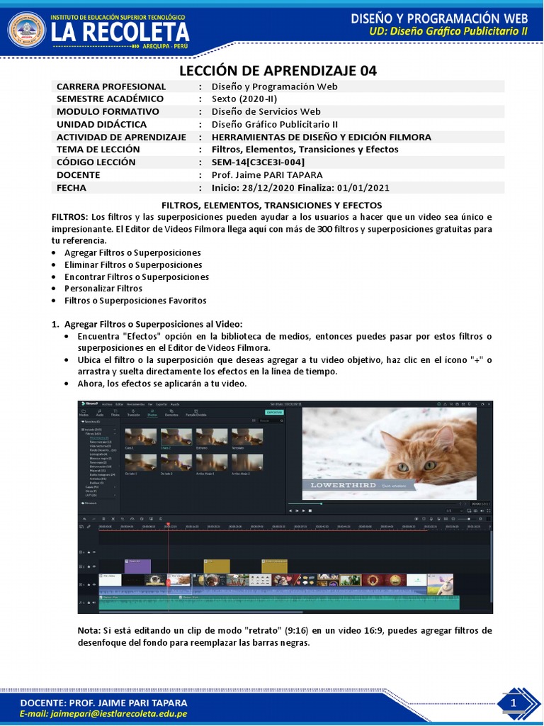 C3 - SEM-14 InformacionLeccion04 | PDF | Desarrollo de software | Software