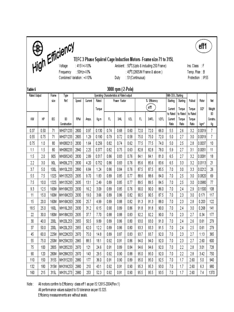 TEFC 3 Phase Squirrel Cage Induction Motors-Frame Size 71 To 315L | PDF ...