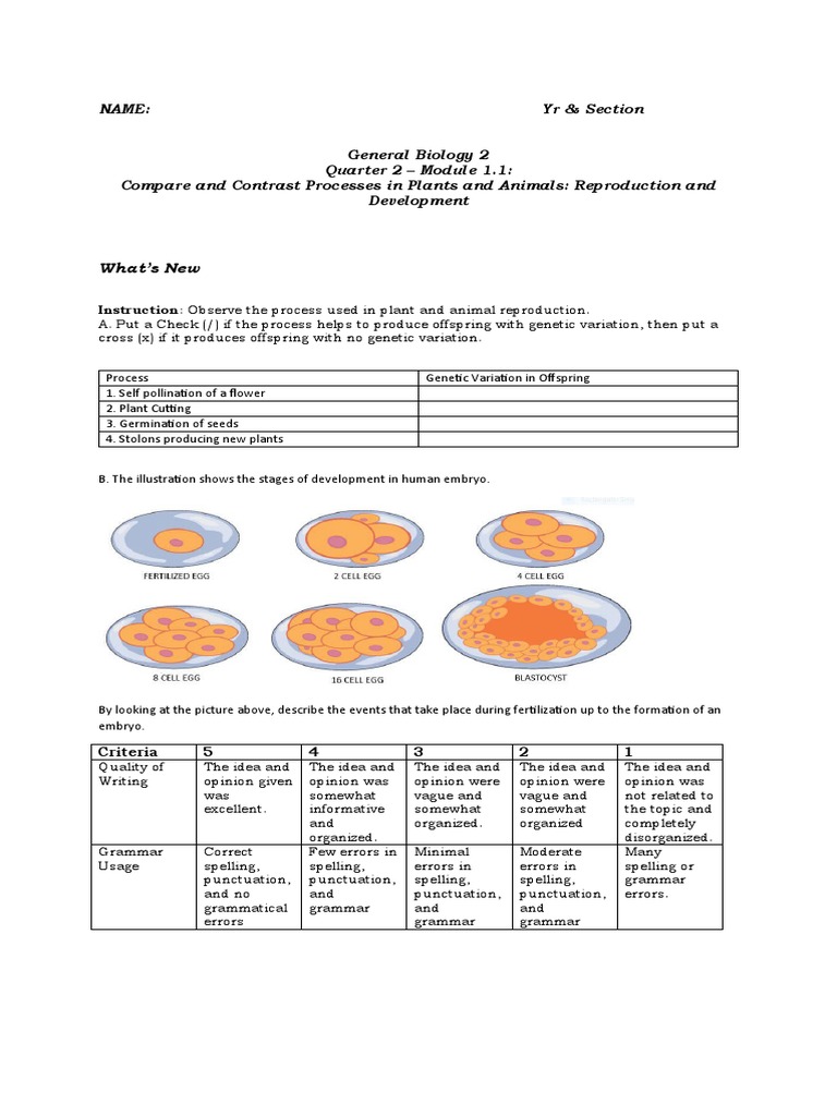 General Biology 2 Module 1.1 LAS | PDF | Reproduction | Grammar