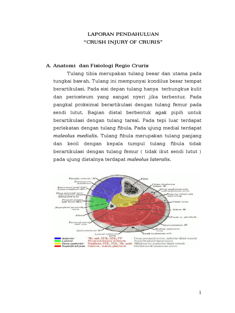 LP Crush Injury | PDF