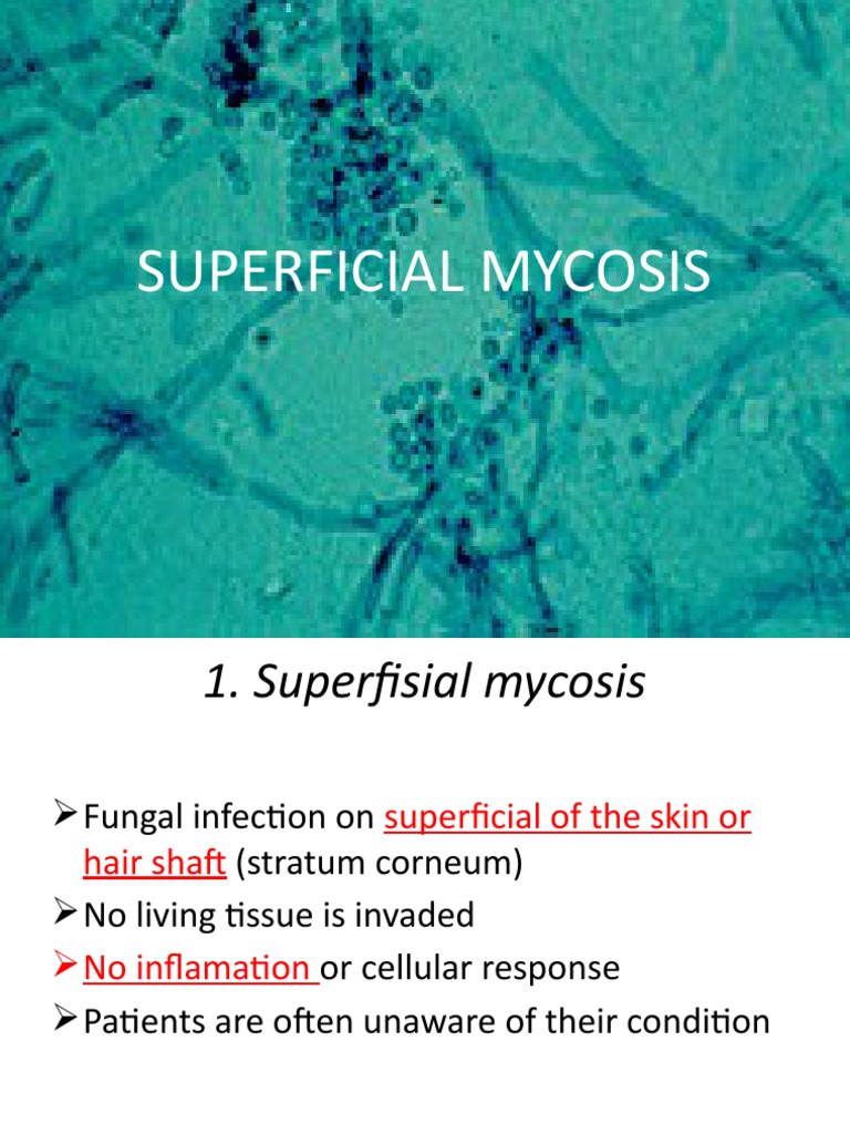 Superficial Mycosis | PDF | Dermatology | Diseases And Disorders