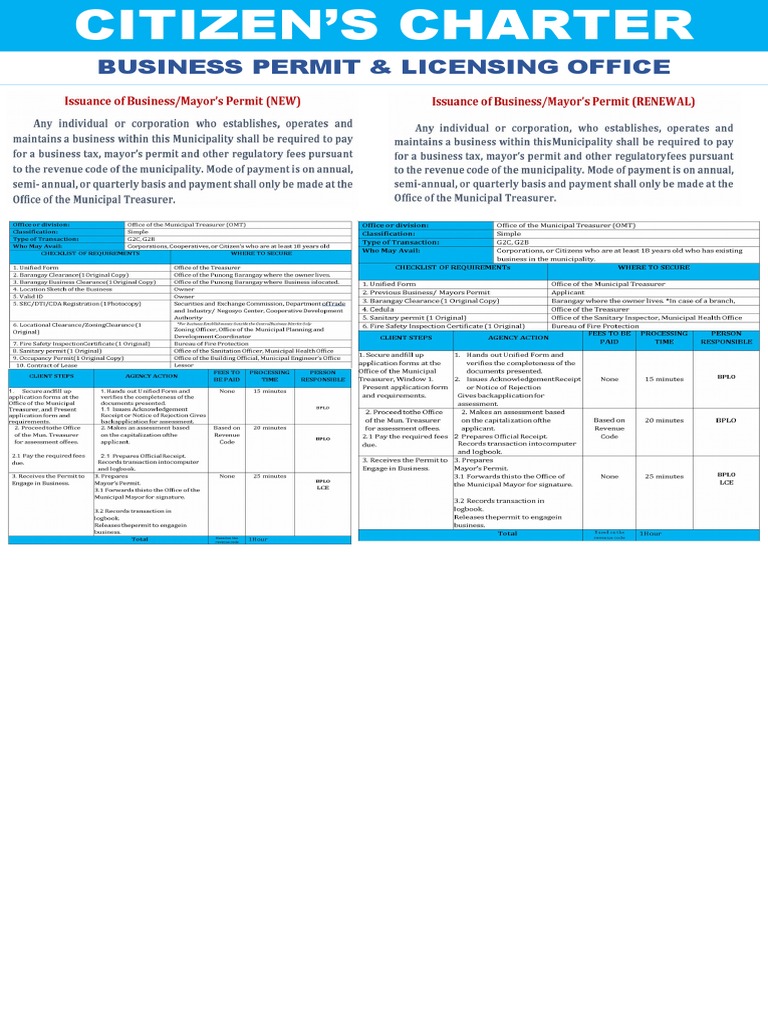 Citizen's Charter Sample | PDF