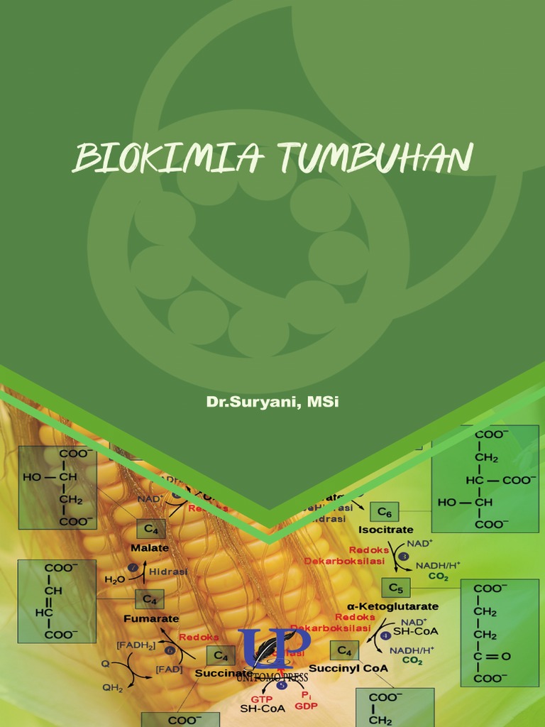 BIOKIMIA TUMBUHAN Ver 1 | PDF