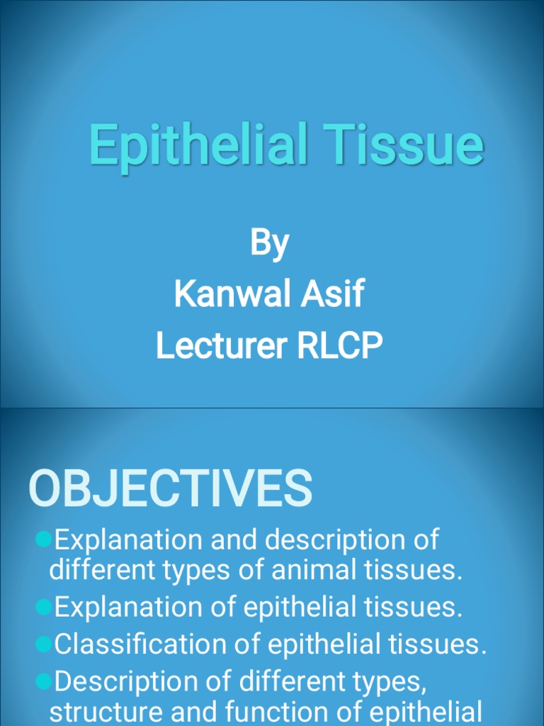 Epithelial Tissue.. | PDF | Epithelium | Tissue (Biology)