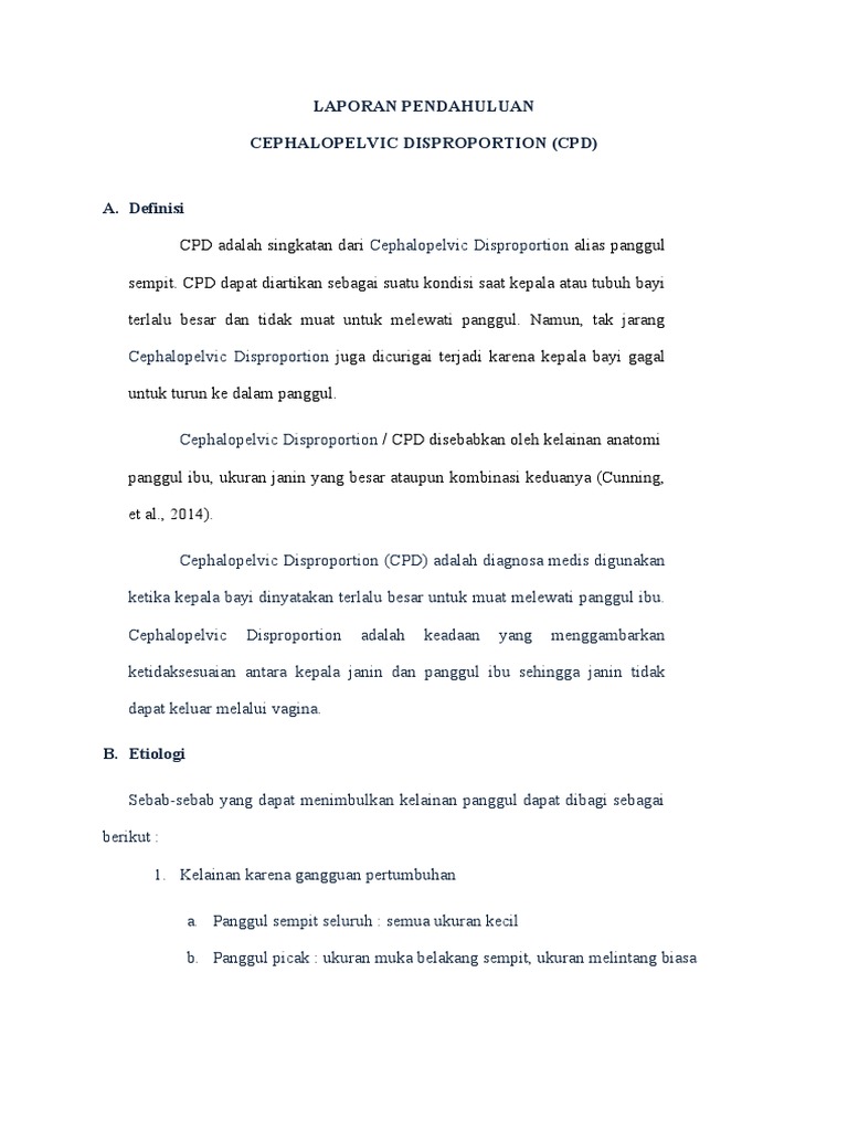 LP CPD Yuni | PDF
