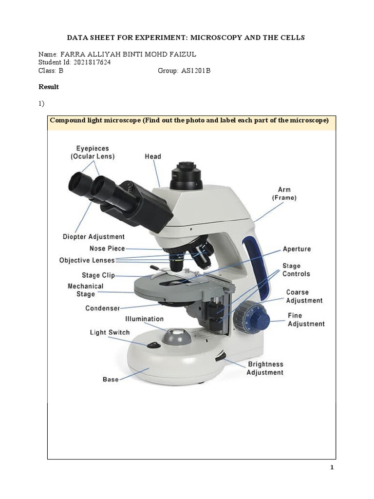 Farr - Data Sheet For Experiment-Microscopy and The Cells | PDF ...