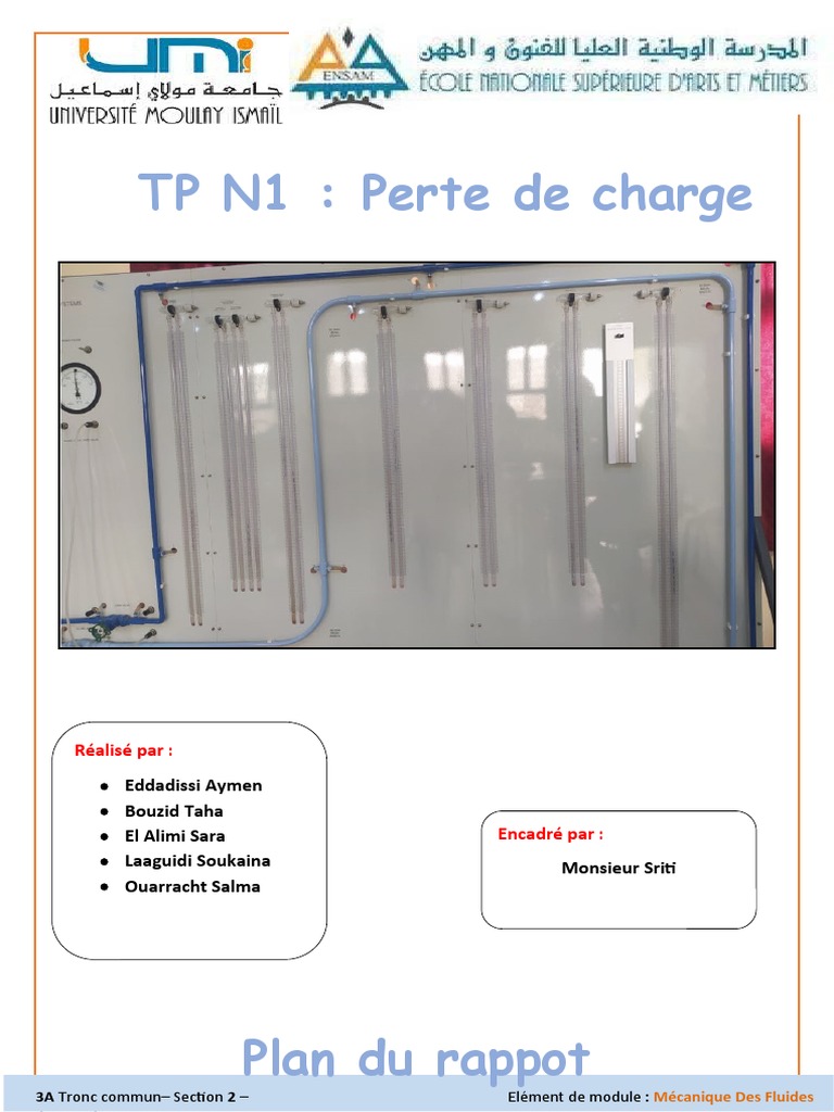 TP Perte de Charges | PDF | Dynamique (Mécanique) | Phase (thermodynamique)