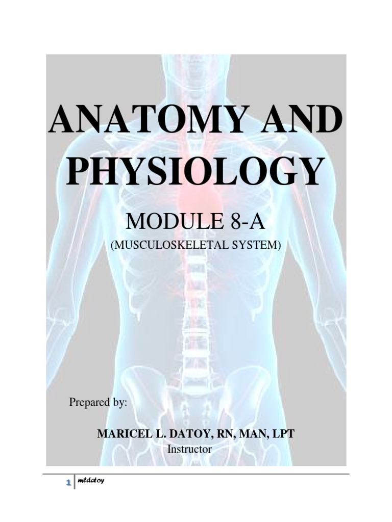 Anatomy and Physiology Module 8a | PDF | Skeleton | Vertebral Column