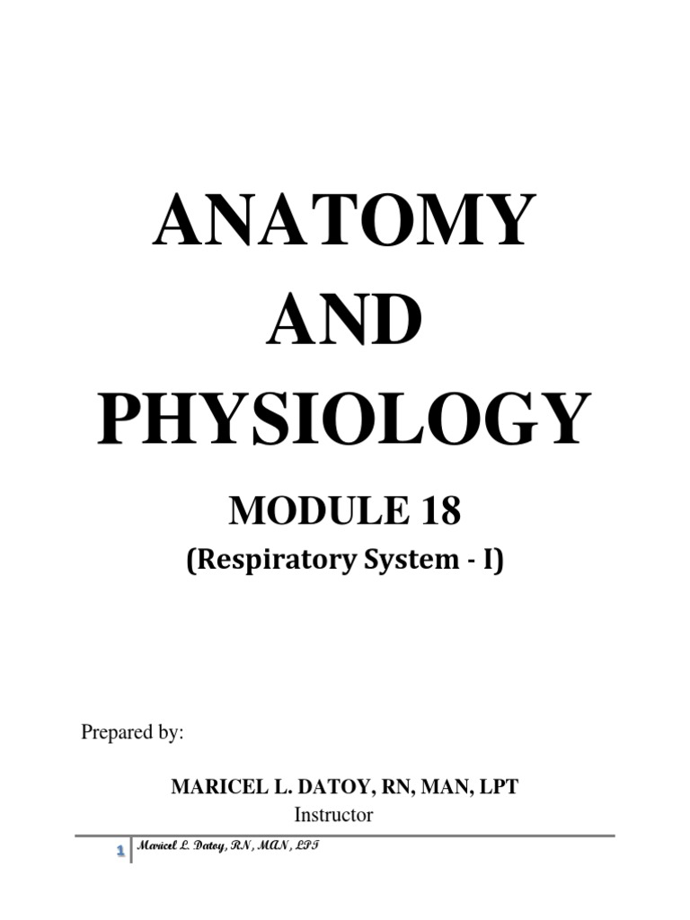 Module 18 Respiratory Final | PDF | Respiratory Tract | Lung