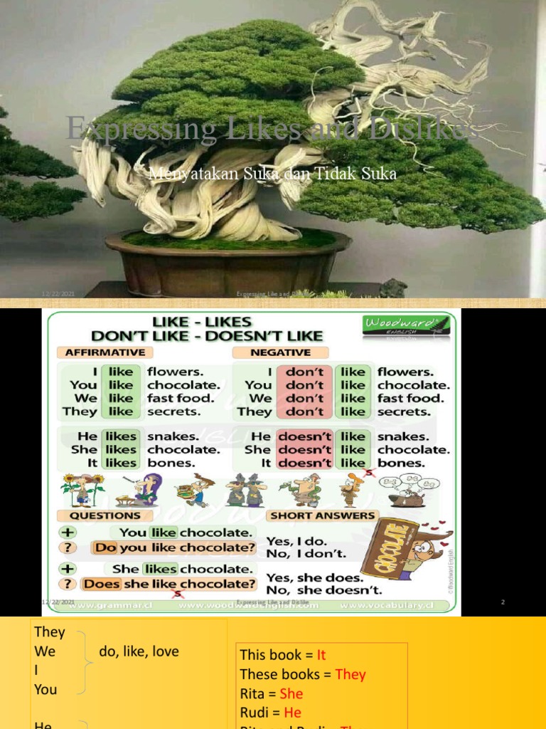 Expressing Likes and Dislikes Guide | PDF