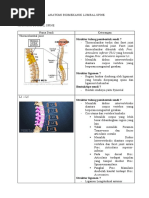 Anatomi Dan Fisiologi Vertebrae Cervical | PDF
