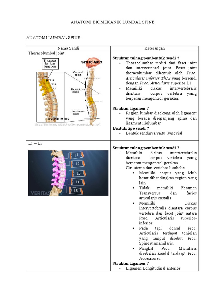 ANATOMICAL STRUCTURES AND MECHANICS OF THE LUMBAR SPINE | PDF