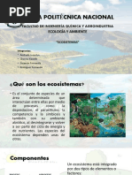Mapa Conceptual de Ecosistema | PDF | Ecosistema | Suelo