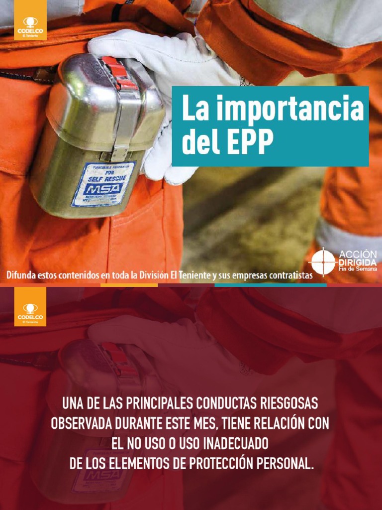 Importancia Uso EPP | PDF
