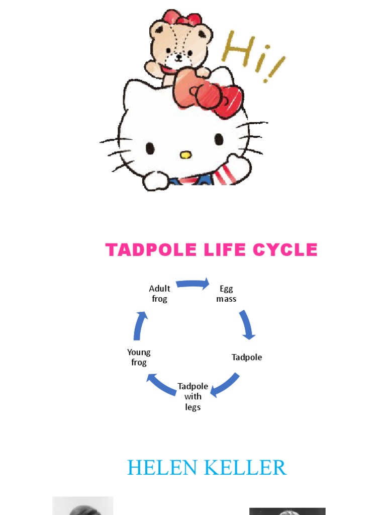 Comp Class Tester Pdf