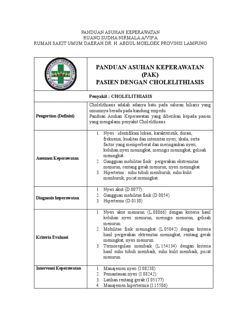 Pak Ruang Sudha Nirmala A Vip A Rsam | PDF