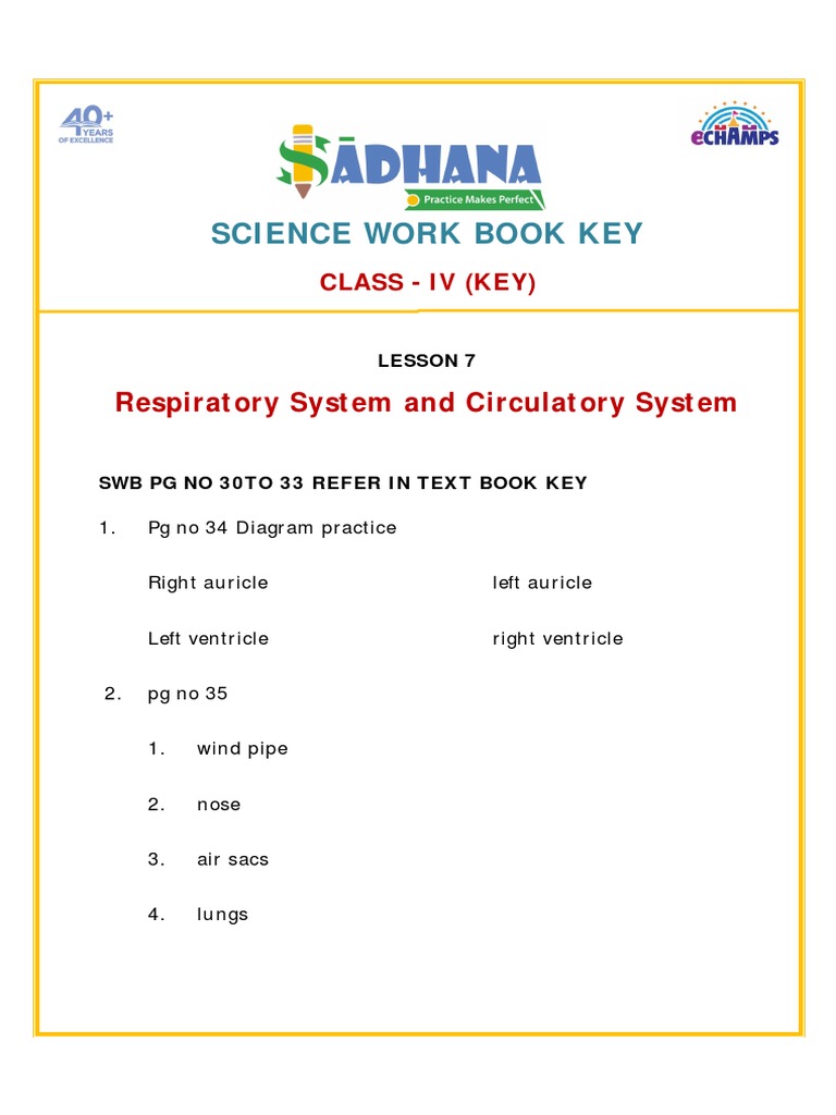 Ls-7 - Respiratory and Circulatory System Workbook Key | PDF | Wellness ...