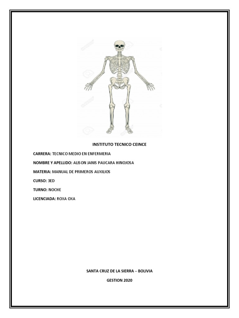 Esqueleto Humano | PDF