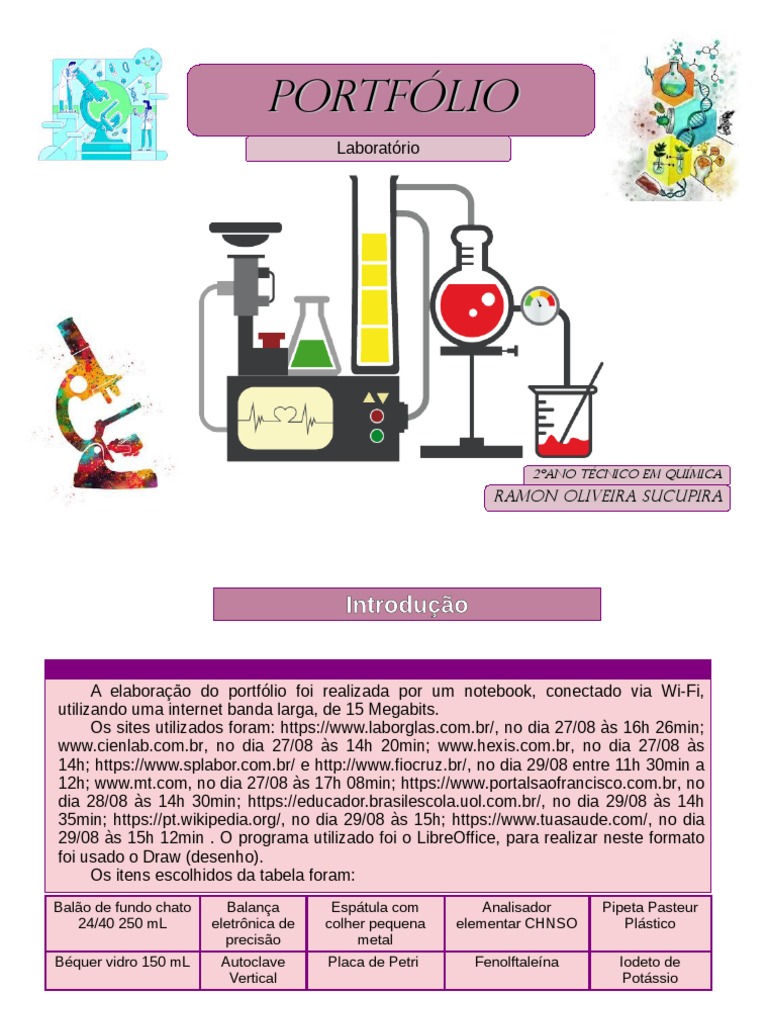 Portifolio de Lab | PDF | Combustão | Química