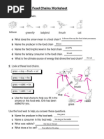 Dichotomous Key Practice Worksheets | PDF | Foreign Language Studies