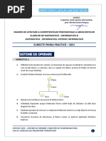 2019 Competente - Digitale - Modele - de - Subiecte | PDF