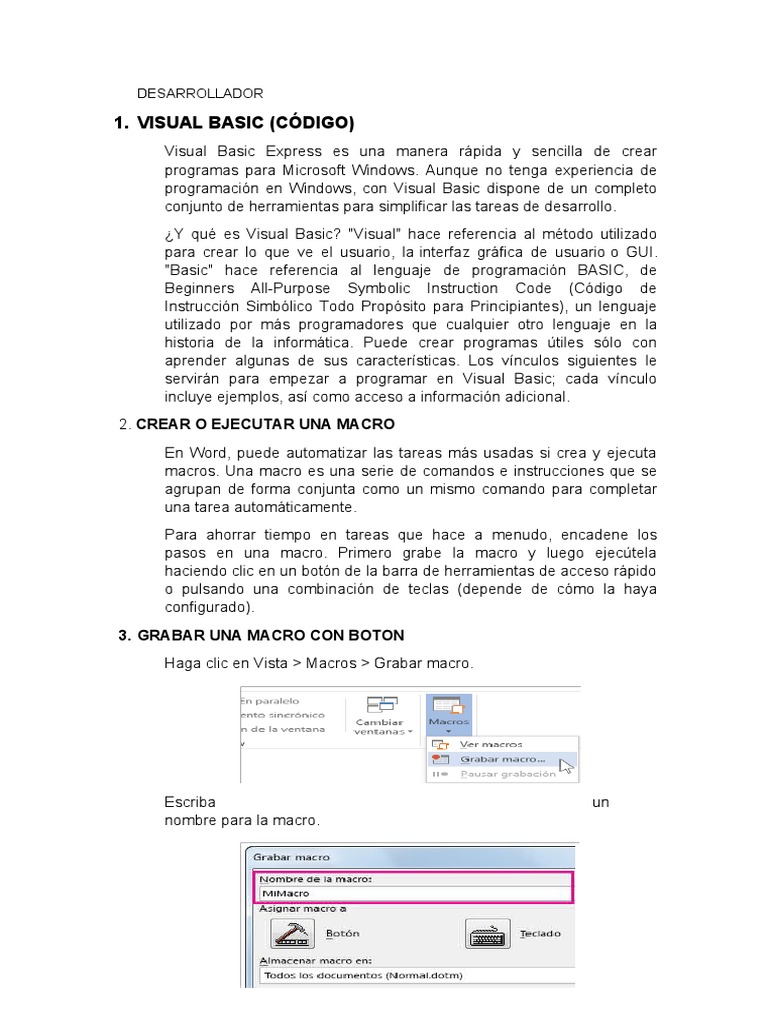 DESARROLLADOR Ultimo | PDF | Microsoft Office | Macro (informática)