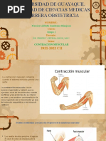 Las Uniones GAP | PDF | Músculo | Contracción muscular