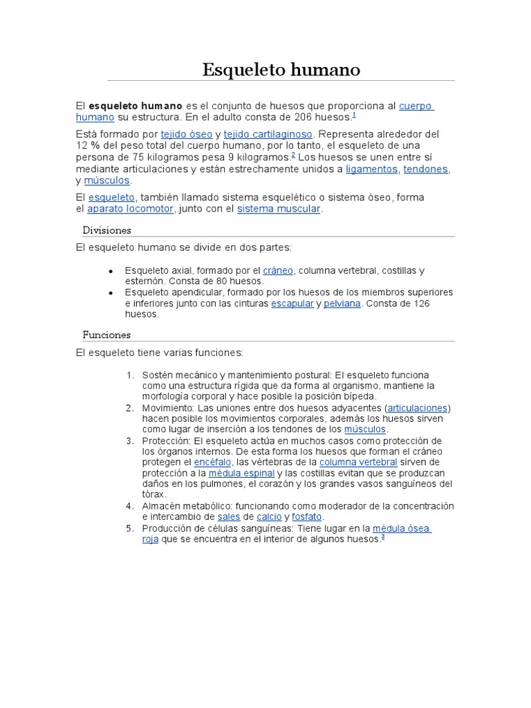 Esqueleto Humano | PDF | Articulación | Hueso