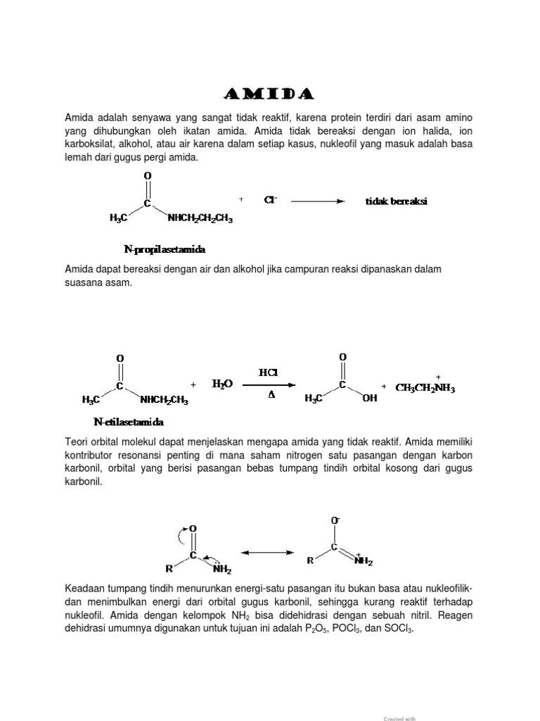 AMIDA II | PDF